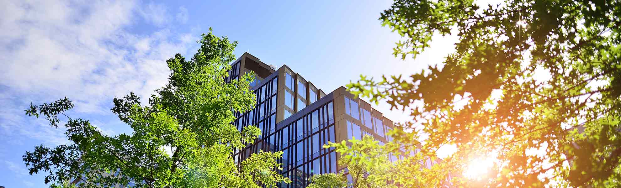 Decarbonisation Schemes – Linear Control Systems